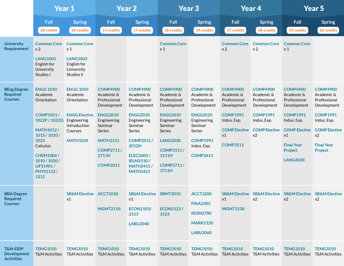 Curriculum & Pathway | T&M-DDP