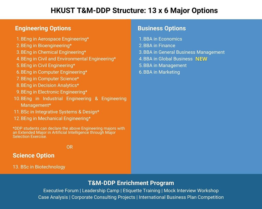 Program Structure | T&M-DDP