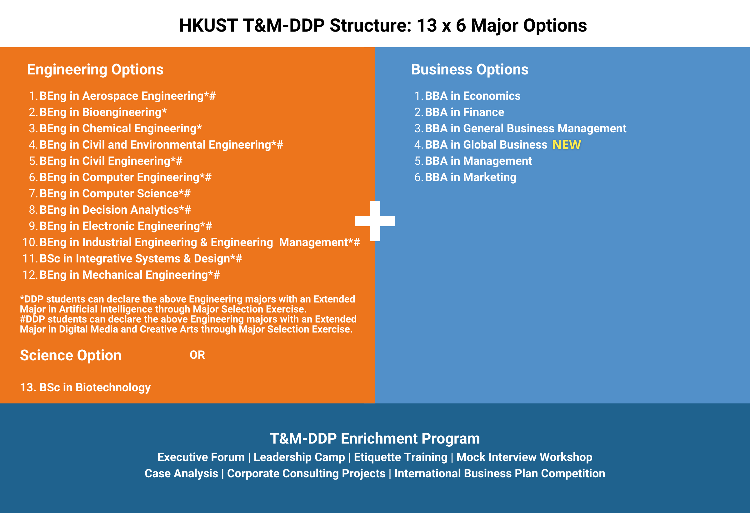 Program Structure | T&M-DDP